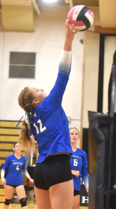 Playing for a cause | News, Sports, Jobs - Observer Today